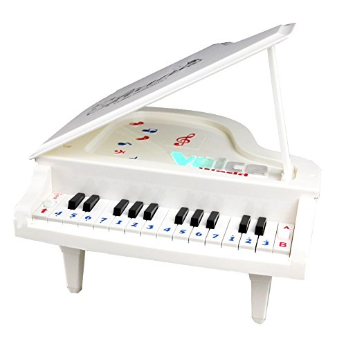 Fajiabao Enfants Petit Piano 0701485084911