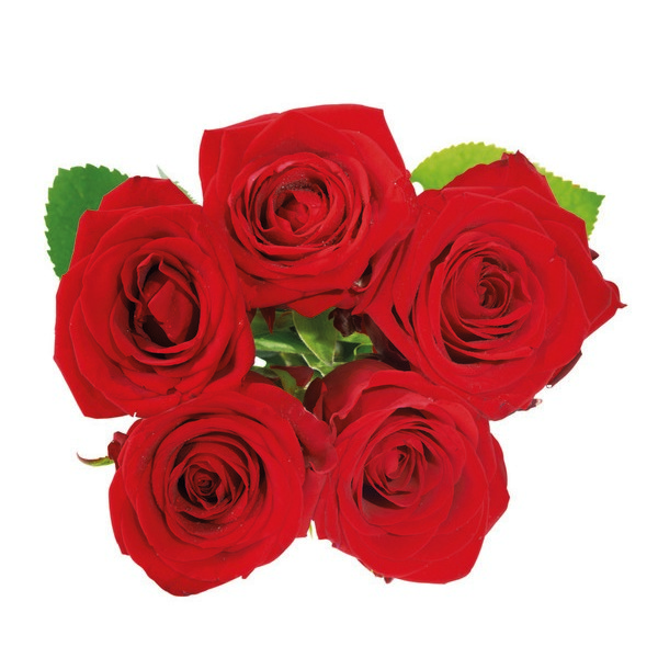 Acheter BOUQUET DE 5 ROSES 3270190851295