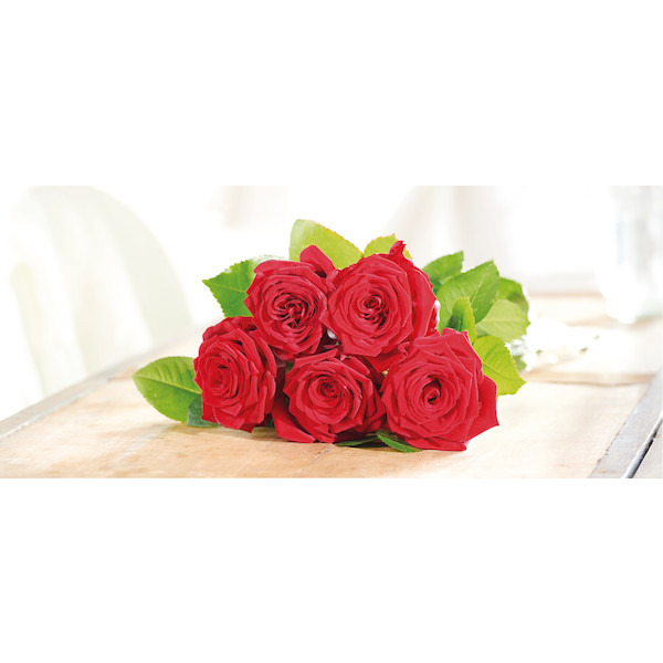 3270190851325 BOUQUET DE 5 ROSES
