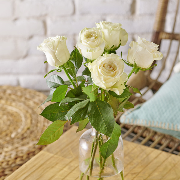 3270190857303 - Bouquet de 5 roses d'Equateur