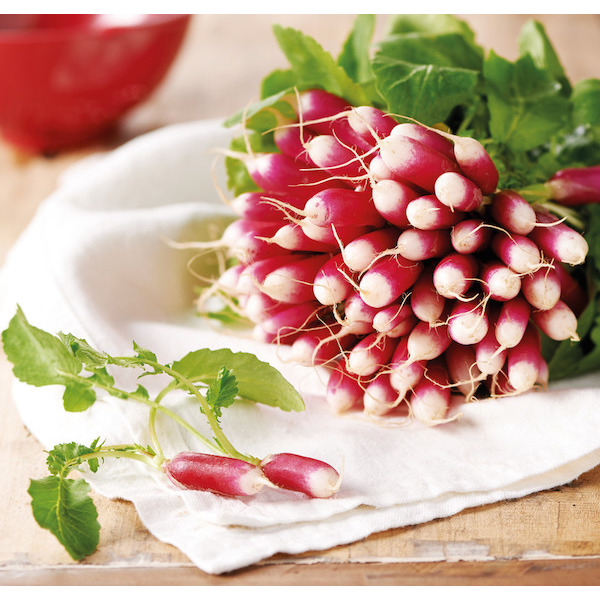 RADIS ROSE 3276554588487