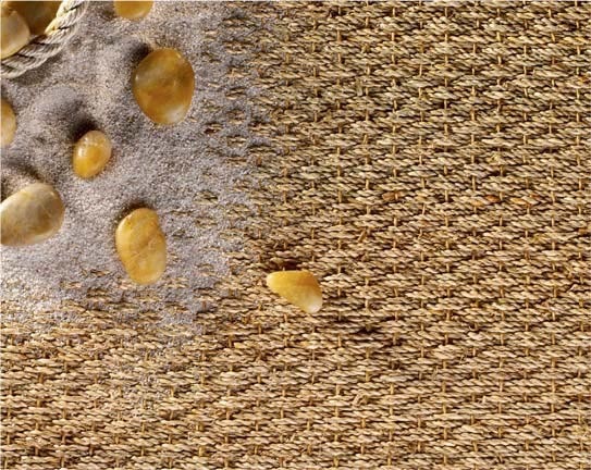 JONC DE MER en promo