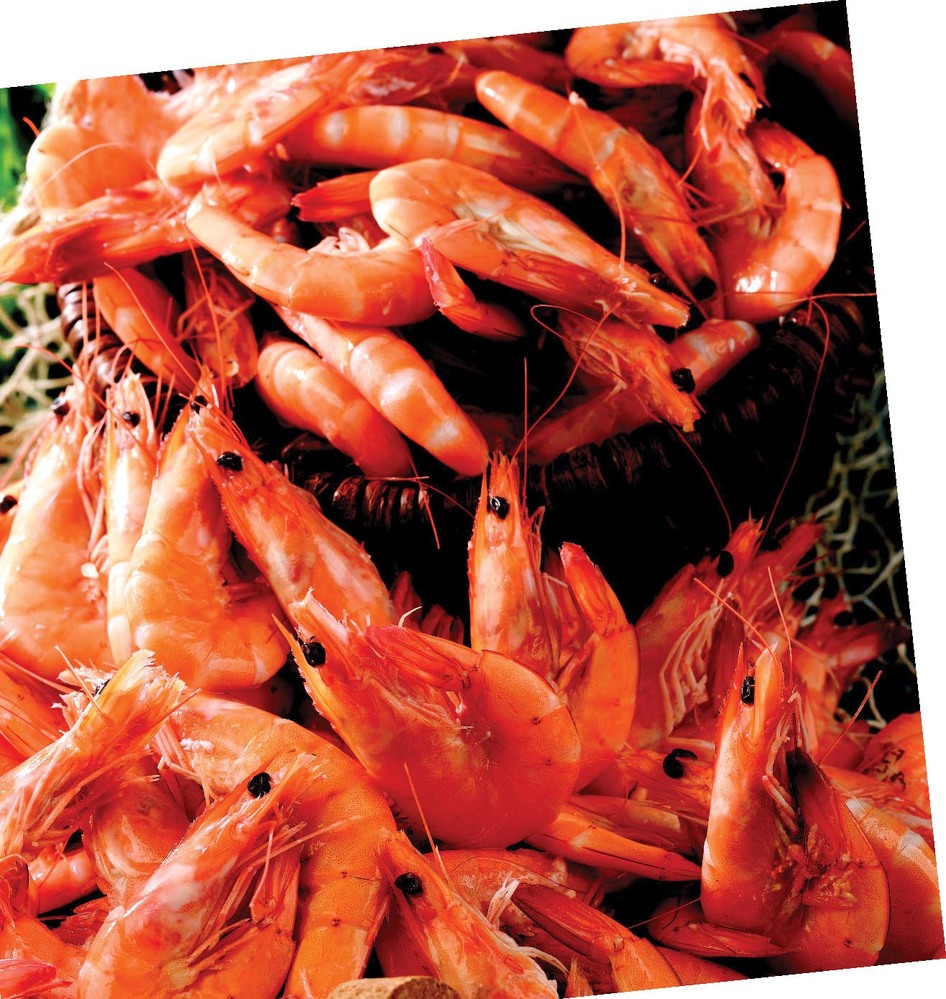 CREVETTE ROSE CUITE 3614704456079