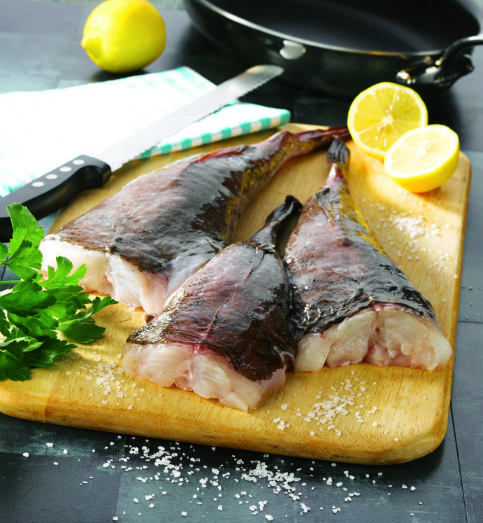 QUEUE DE LOTTE “PAVILLON 3614705536428