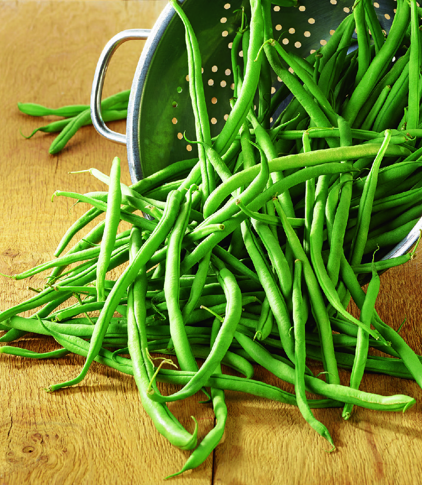 Acheter HARICOT VERT 3614706877223