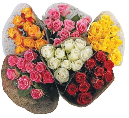 8719908009696 BOUQUET DE 10 ROSES